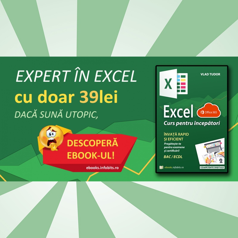 Excel - curs pentru incepatori (invata rapid si eficient), autor: Vlad ...